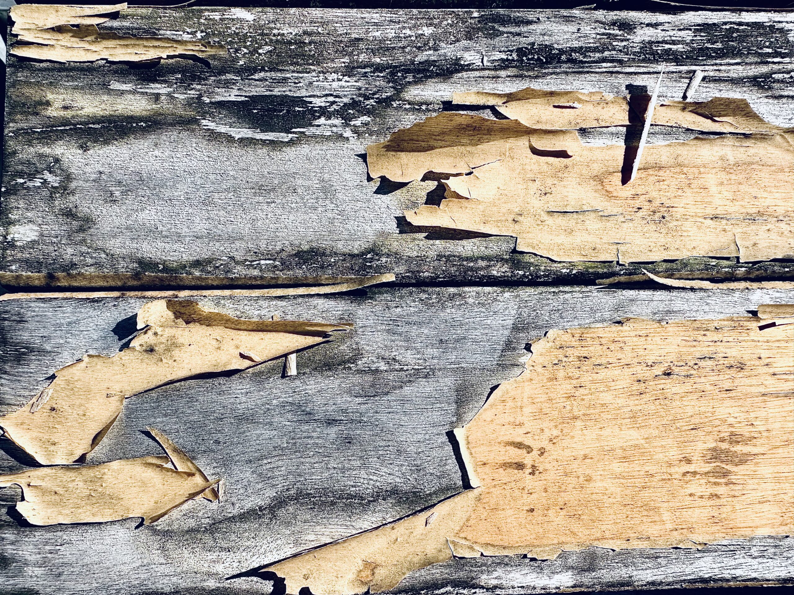Ästhetik - einmal anders | Allgemein | Mona Lisa Blog